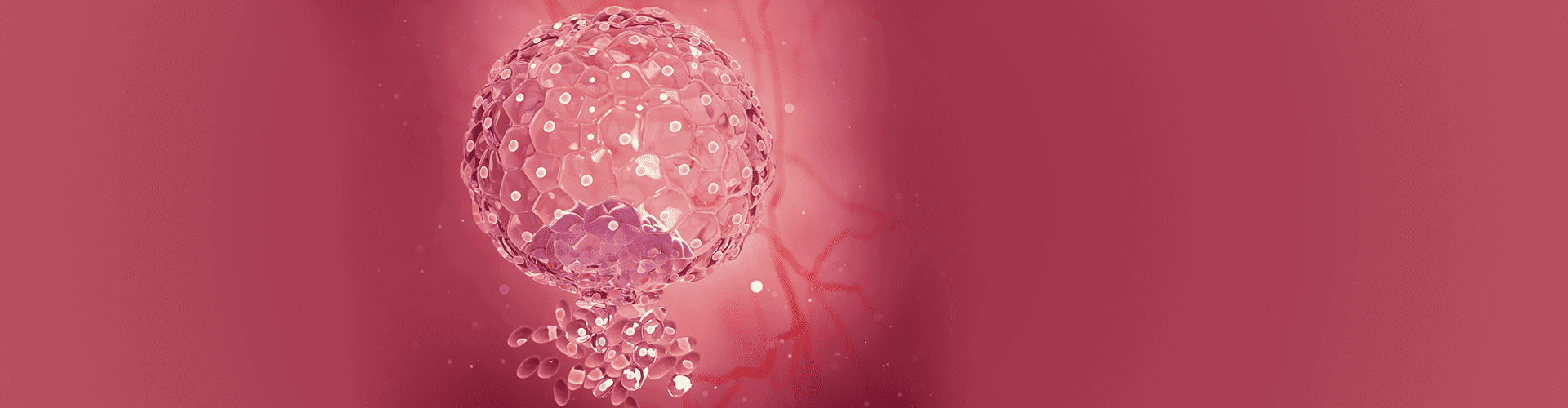 Assisted hatching ivf | Assisted hatching | Felicity ivf - Felicity