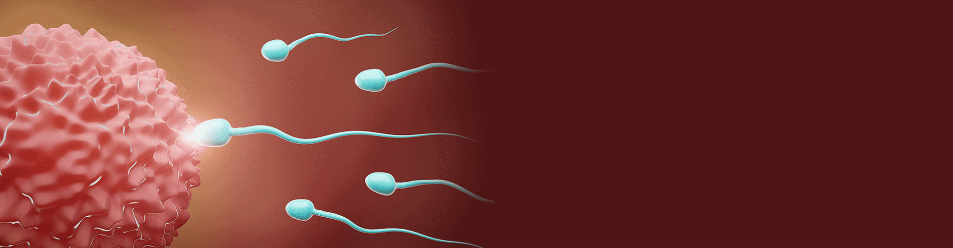 Natural IVF Treatment Hyderabad | Natural IVF Cycle | Best Fertility Center