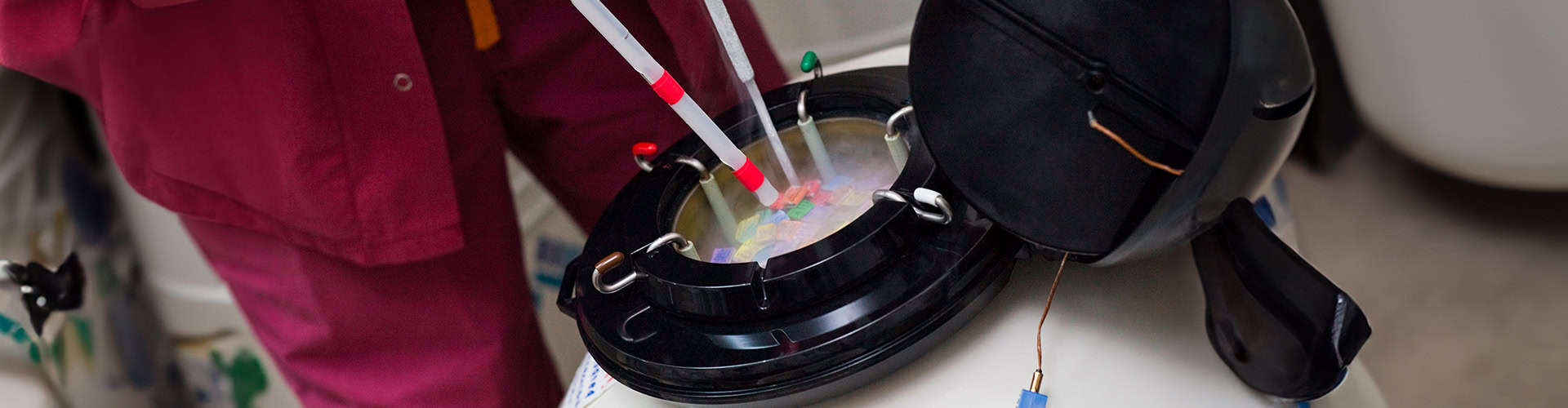 Embryo freezing | Embryo Cryopreservation | Embryo freezing cost - Felicity