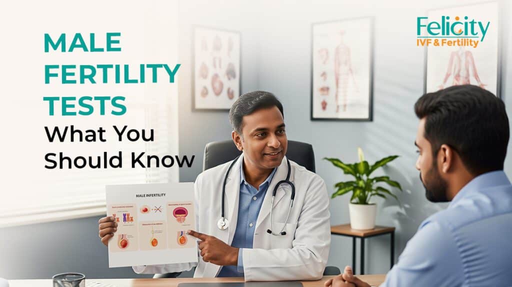 Male Fertility Tests: Types, Cost & Preparation Guide